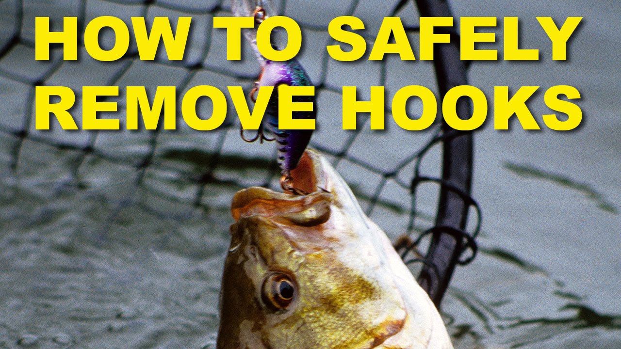How to Unhook a Bass | Expert Tips 2025 - Fishing Train