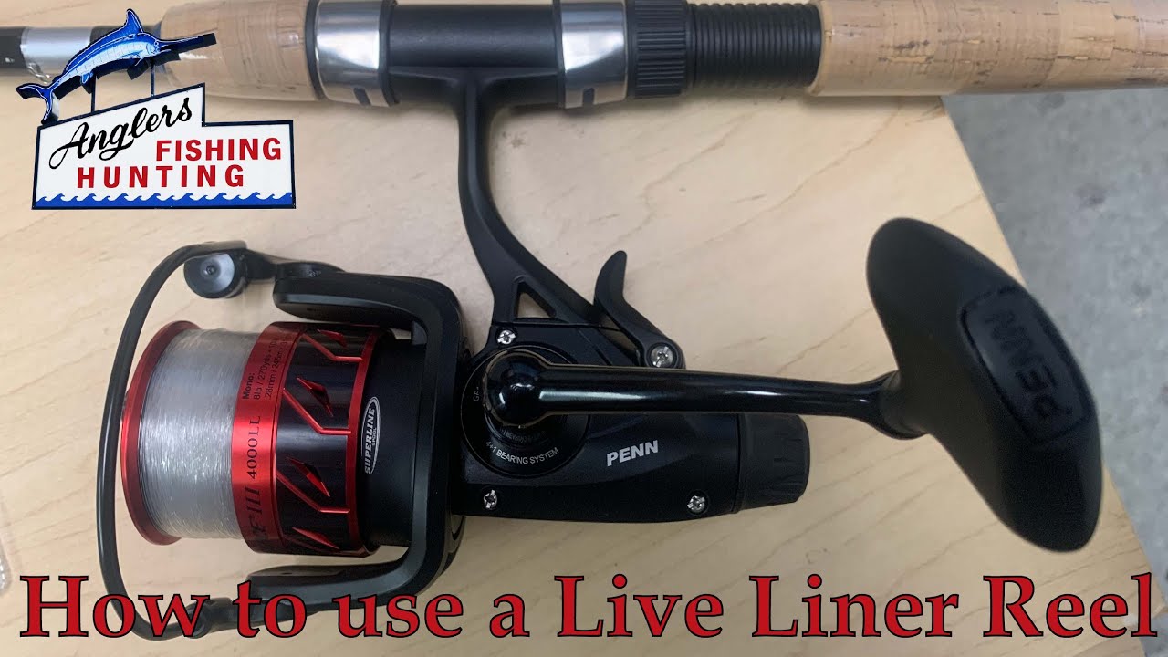 What is a Live Liner Reel | Live Liner Reel Explanation 2023 - Fishing ...