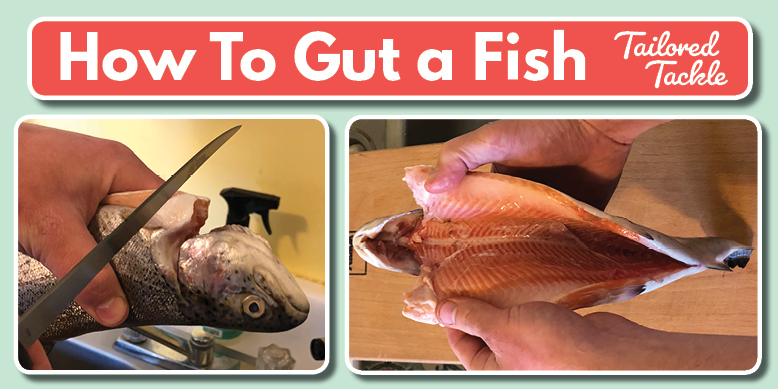 What to Do With Fish Guts After Cleaning | Disposal Tips 2023 - Fishing ...